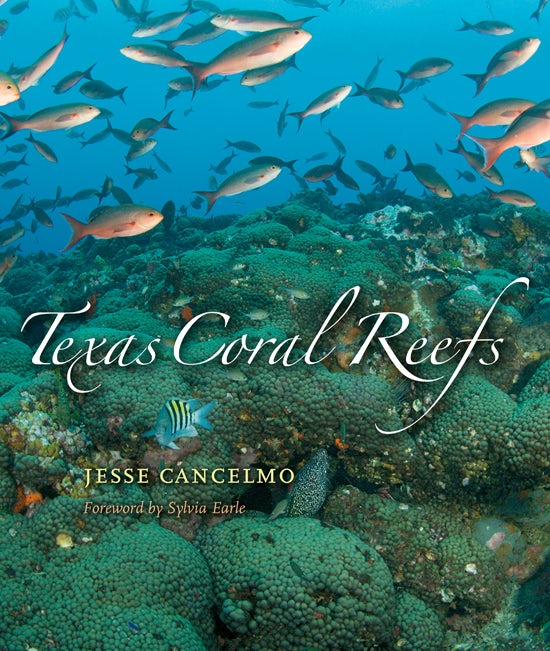 Texas Coral Reefs