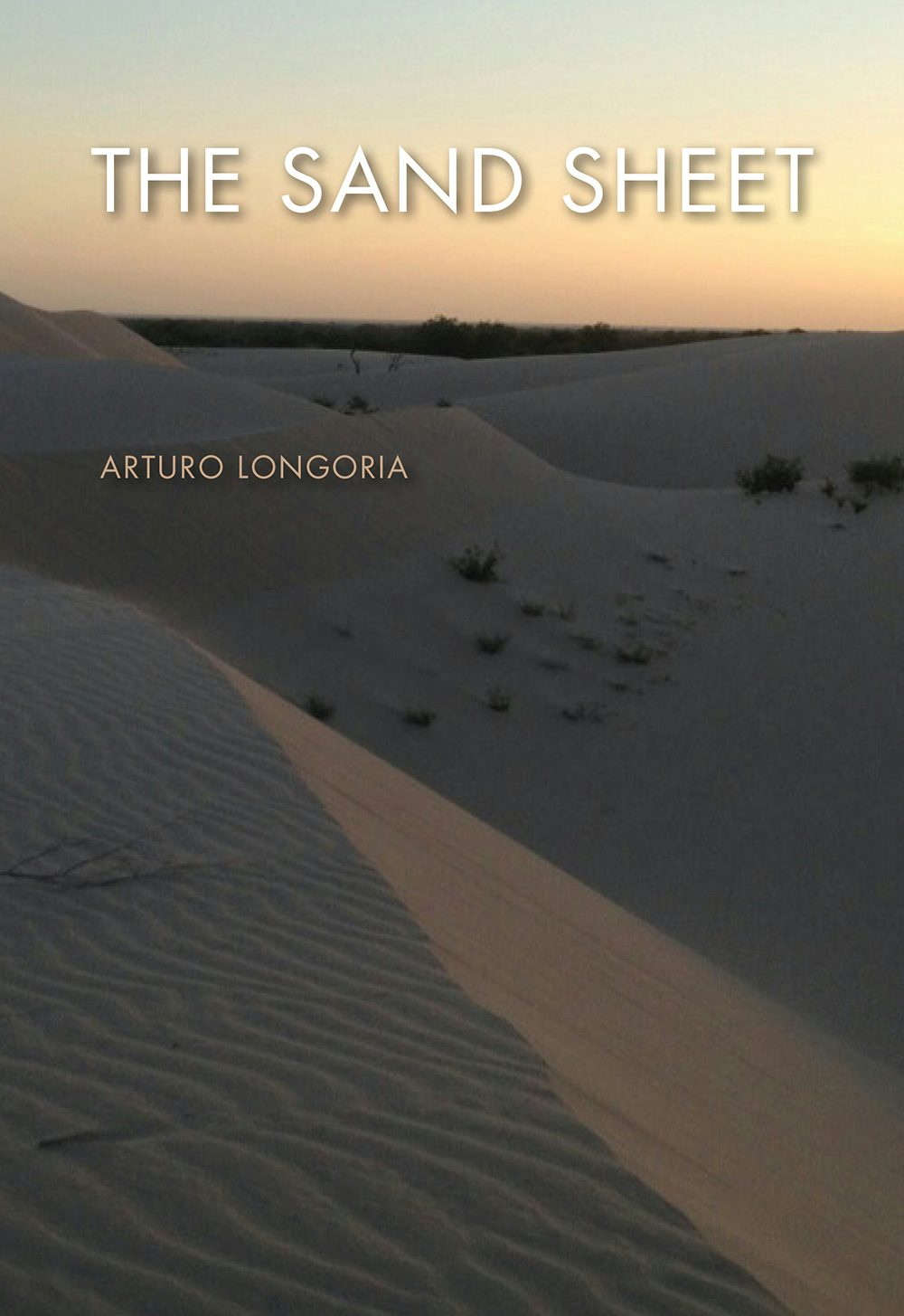 A Photographic Guide to the Vegetation of the South Texas Sand Sheet